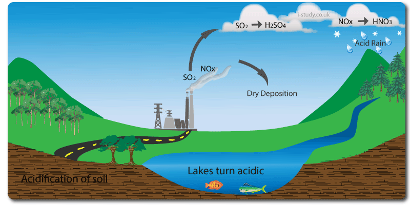 IGCSE development studies, environment